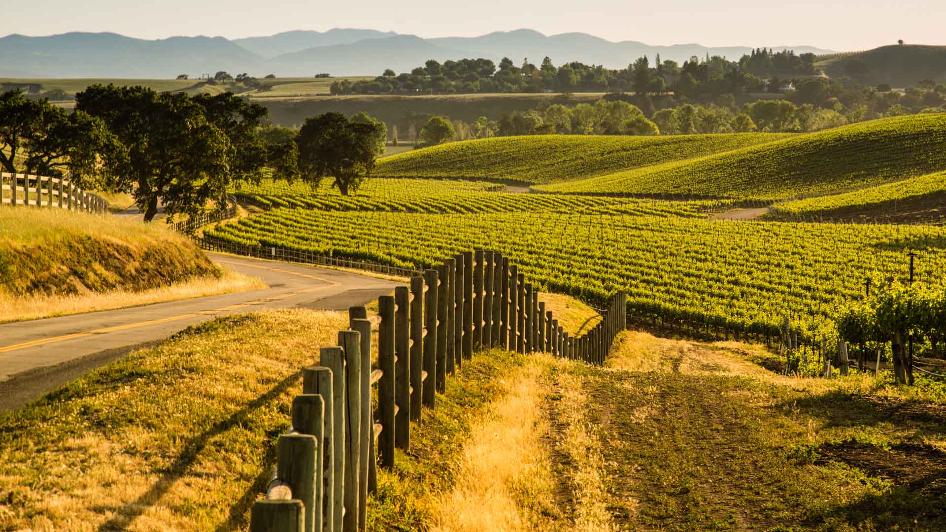 Guide to cycling Ballard, Drum, Cat and Foxen Canyons - Epic Road Rides