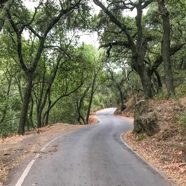 Guide to Gibraltar Road, East Camino Cielo and Painted Cave Road