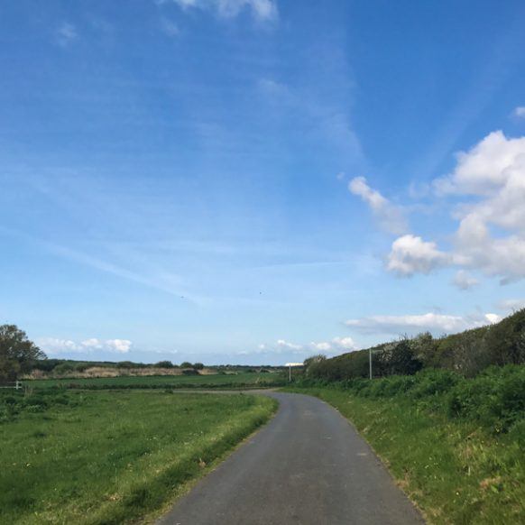 Guide to the round the Isle of Wight cycle route, inc map, profile + GPX!