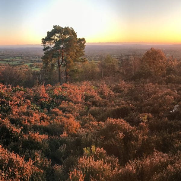 Loop of the Surrey Hills lanes by bike - Epic Road Rides