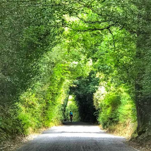 How hard is the Prudential RideLondon 100 route profile?