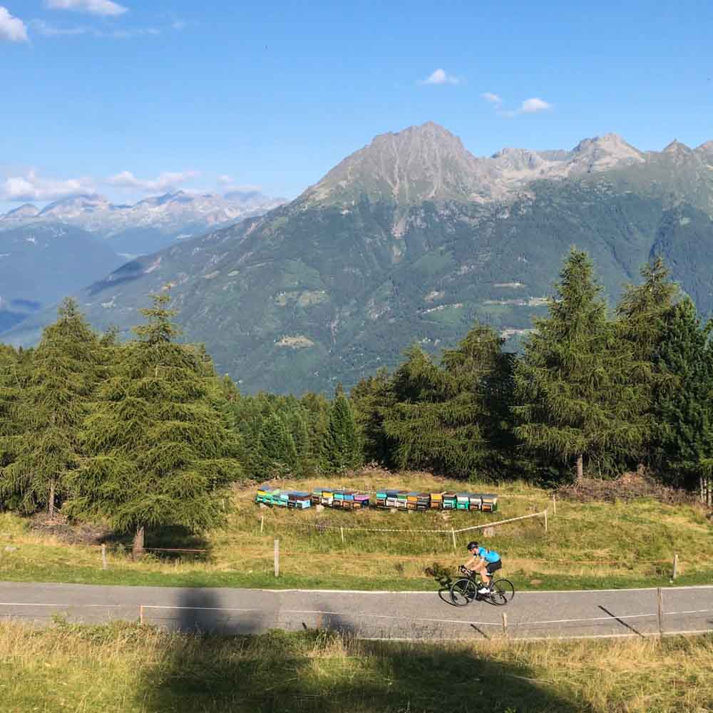 Guide to cycling Passo Mortirolo, Italy: GPX, map & tips