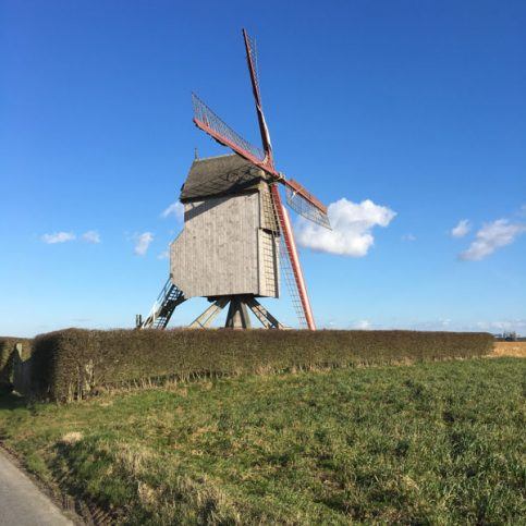 Paddestraat, Molenberg and Kerkgate: Tour of Flanders yellow route guide