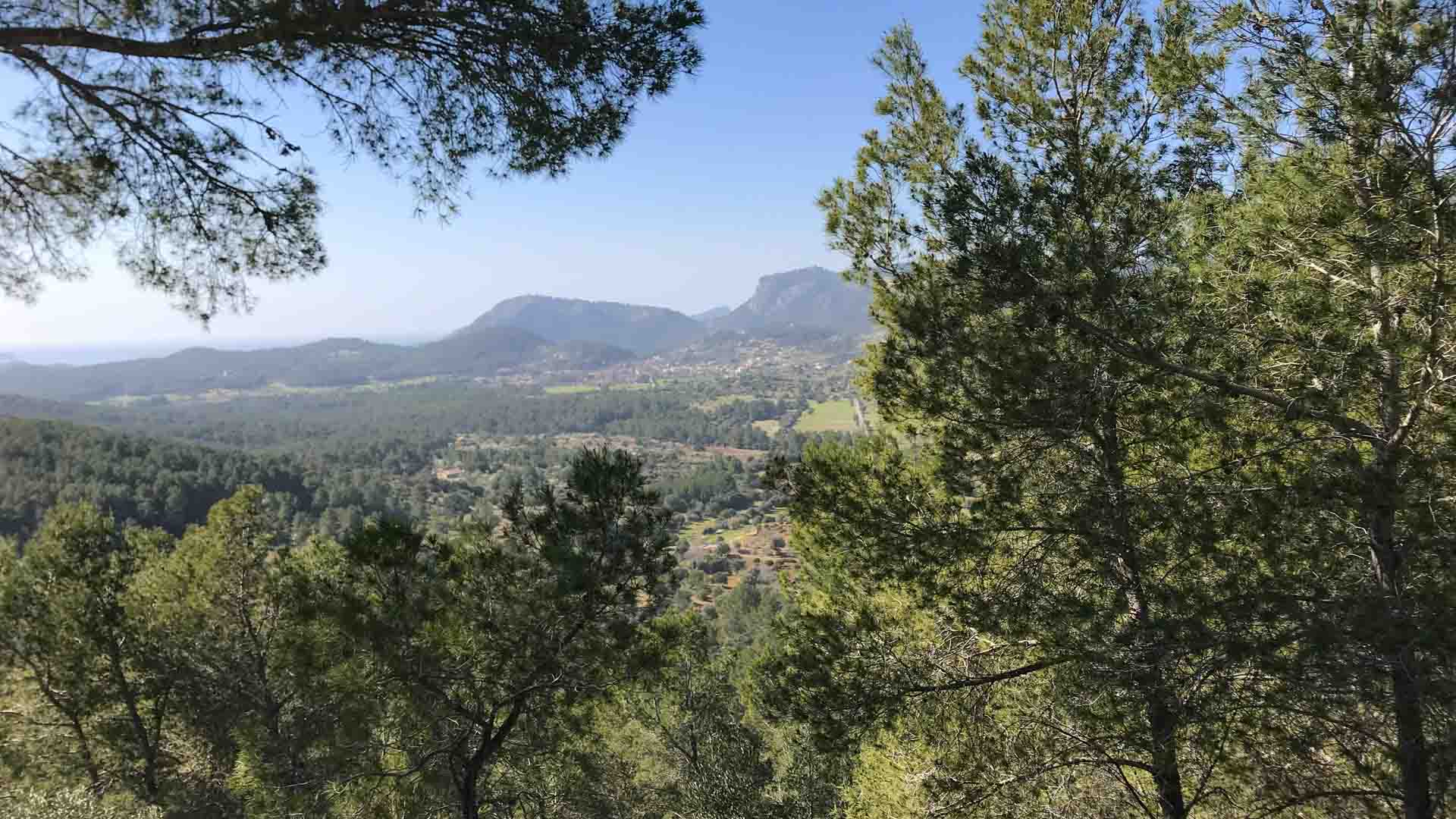 Guide to cycling Coll de Soller, Mallorca (north & south) - Epic Road Rides