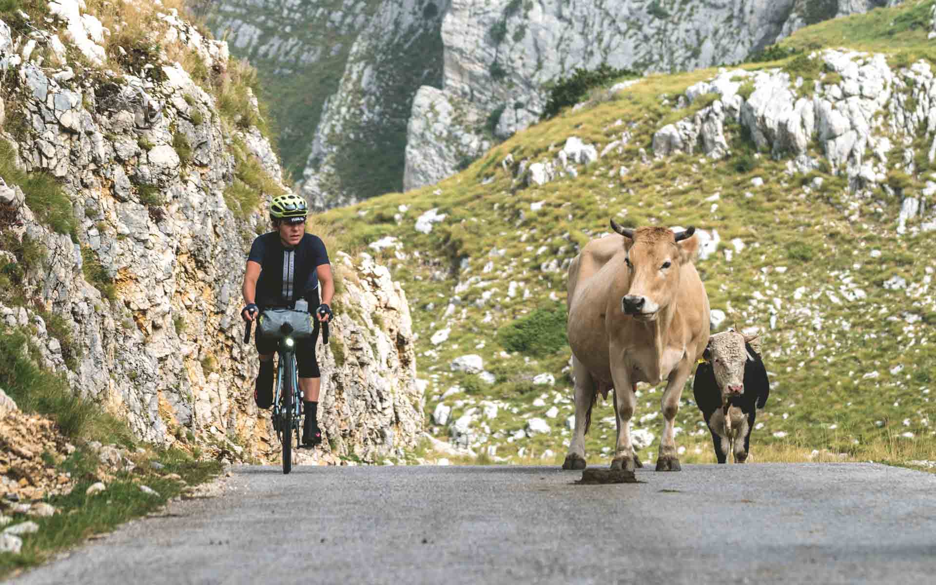 Q&A with Emily Chappell: Transcontinental and Ultra Endurance Cyclist