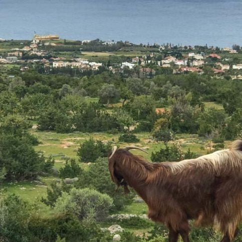 Cyprus cycling holidays: 18 things you must know before you go