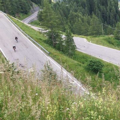 Cycling Passo Campolongo, Dolomites - all you need to know (inc GPX)