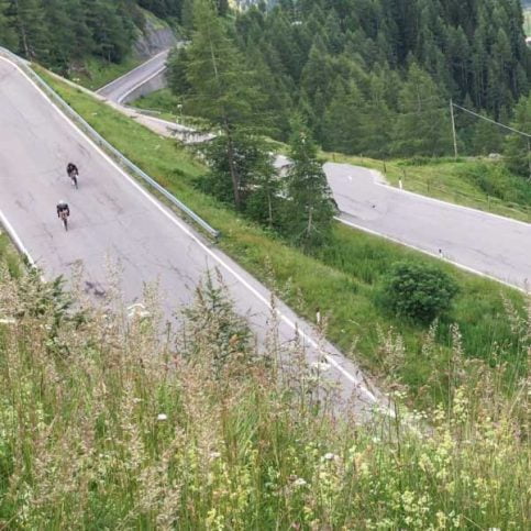 Cycling Passo Campolongo, Dolomites - all you need to know (inc GPX)