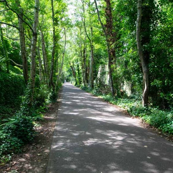 Cycling Edinburgh - everything you need to know before you go!