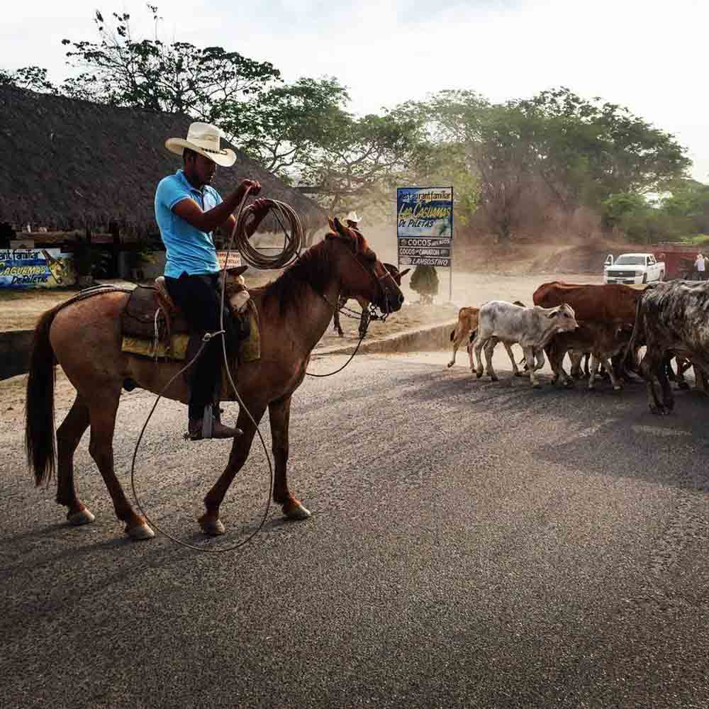 Cycling in Mexico: your ultimate guide (routes, GPX, maps + more)!
