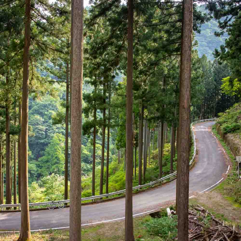 Cycling in Japan: your ultimate guide (cycling routes, hotels, bike hire)!
