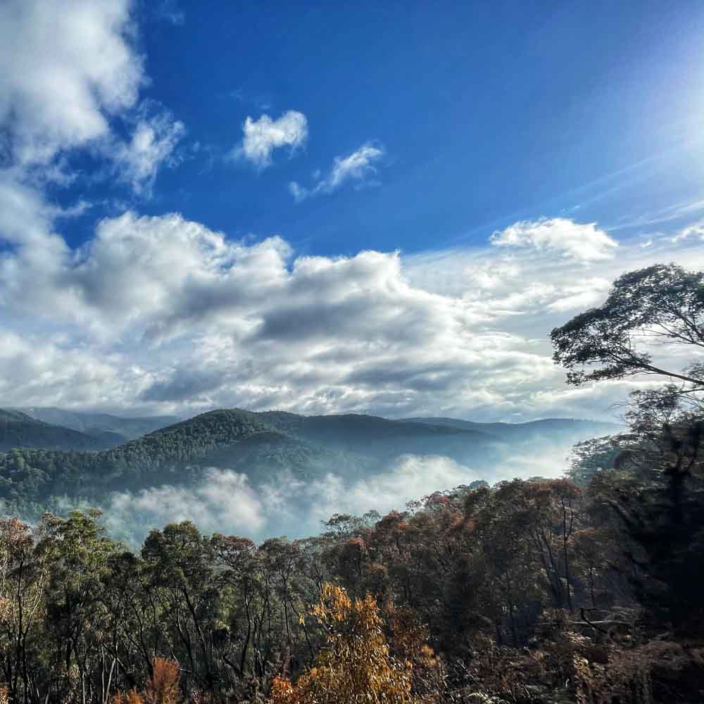 Cycling Victoria: 6 best destinations for cycling in Victoria, Australia