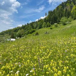 16 best European cycling routes - EuroVelo, road tours + more