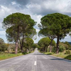 Portugal's N2 cycle route: things to know (tips, GPS, maps + more)!