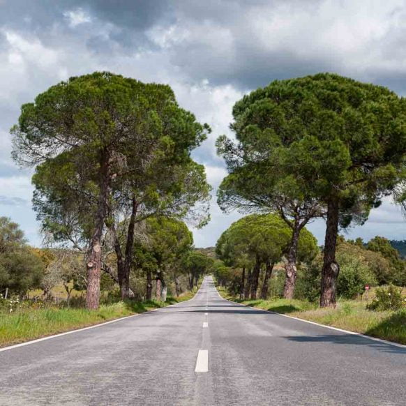 Portugal's N2 cycle route: things to know (tips, GPS, maps + more)!