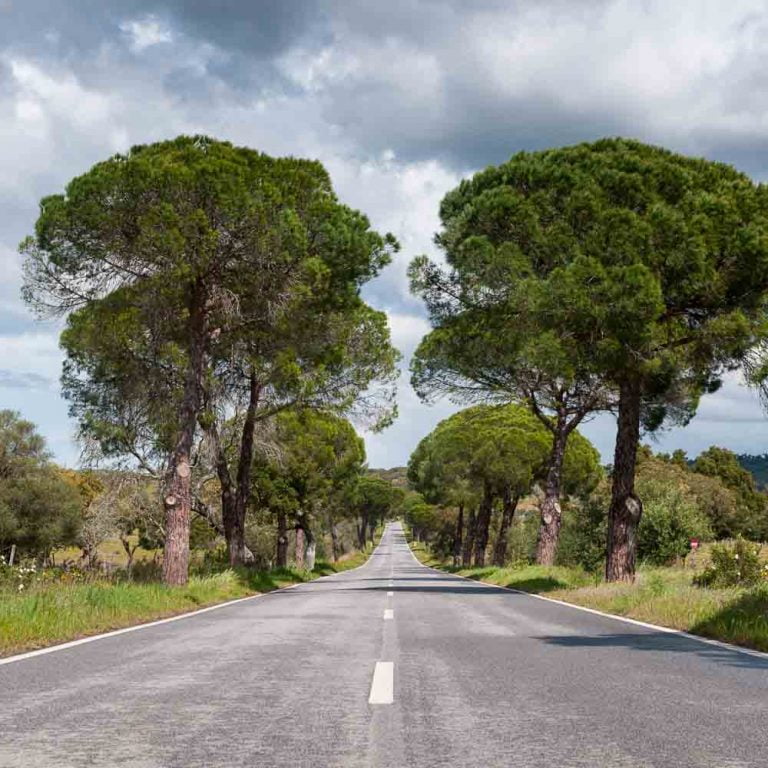 Portugal's N2 cycle route: things to know (tips, GPS, maps + more)!