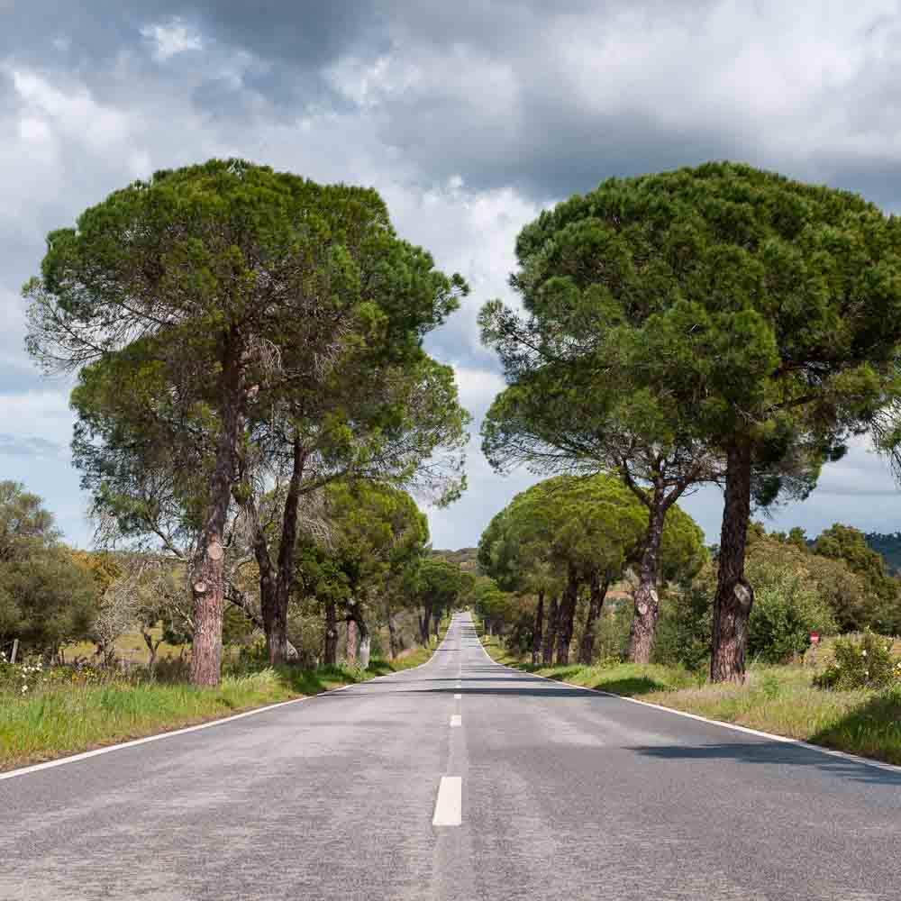 Portugal's N2 cycle route: things to know (tips, GPS, maps + more)!