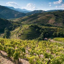 Portugal's N2 cycle route: things to know (tips, GPS, maps + more)!