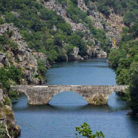 Portugal's N2 cycle route: things to know (tips, GPS files, maps + more)!