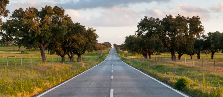 Portugal's N2 cycle route: things to know (tips, GPS, maps + more)!