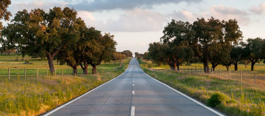 Portugal's N2 cycle route: things to know (tips, GPS, maps + more)!