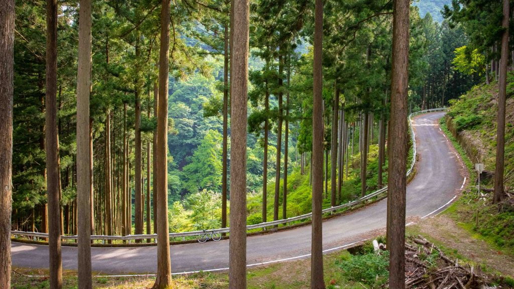 Cycling in Japan: your ultimate guide (cycling routes, hotels, bike hire)!