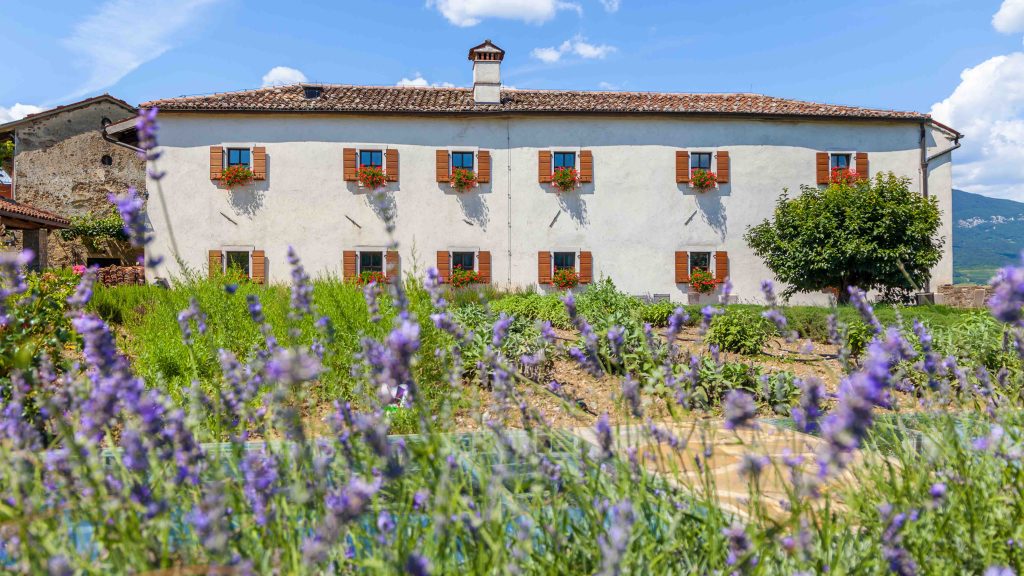 Cycling Slovenia's Vipava Valley: info, routes, GPS + more