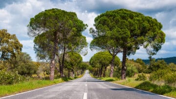 Portugal's N2 cycle route: things to know (tips, GPS, maps + more)!