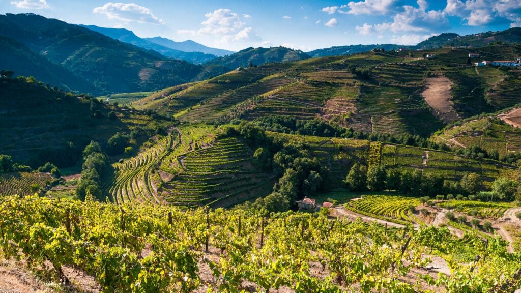 Portugal's N2 cycle route: things to know (tips, GPS, maps + more)!