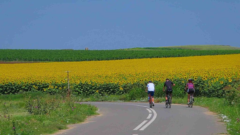 Cycling in Romania: climbs, GPX routes, where to stay + more!
