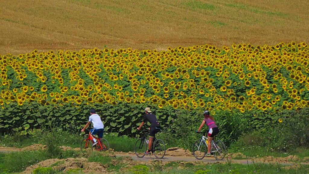 Cycling in Romania: climbs, GPX routes, where to stay + more!