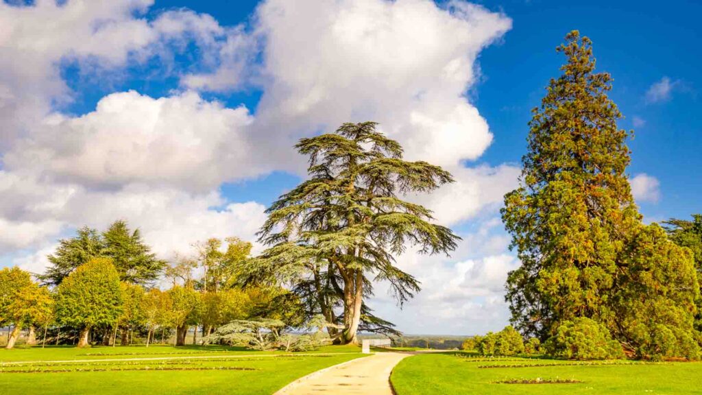 5 best cycling routes in France (for an easy cycling holiday) - Epic ...