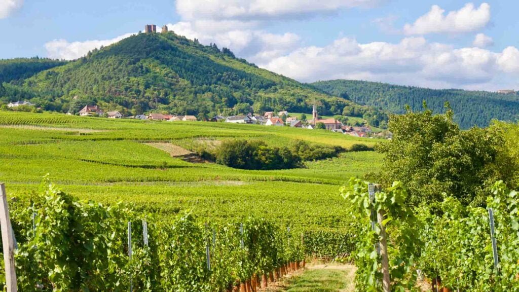 5 best cycling routes in France (for an easy cycling holiday) - Epic ...