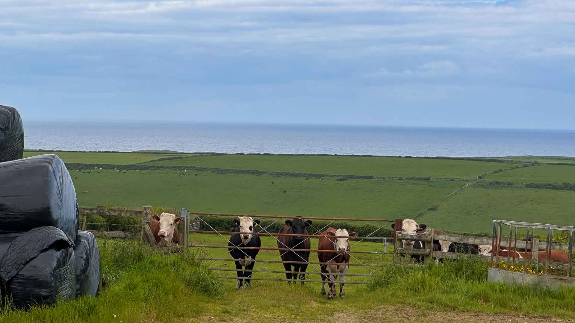 The Celtic Trail cycle route in Pembrokeshire, Wales