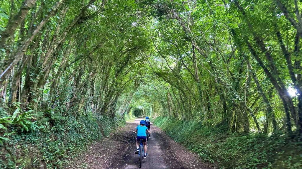 Cycling the Camel Trail - everything you need to know
