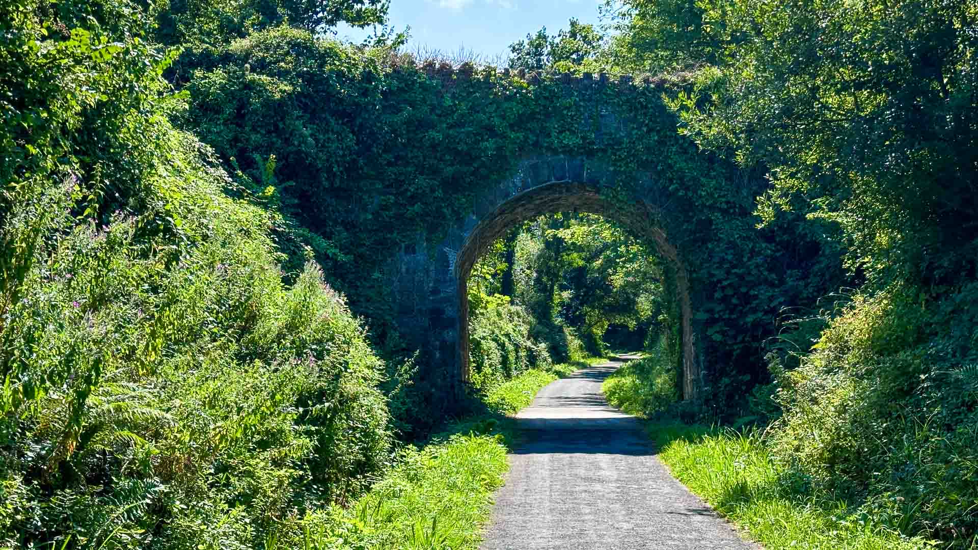 Cycling the Tarka Cycle Trail: Everything you need to know