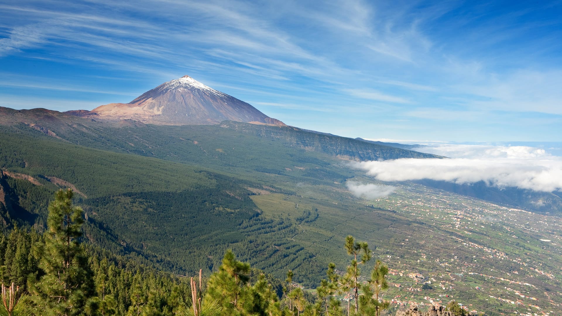 Cycling Tenerife: get Tenerife cycle routes, bike hire + more!