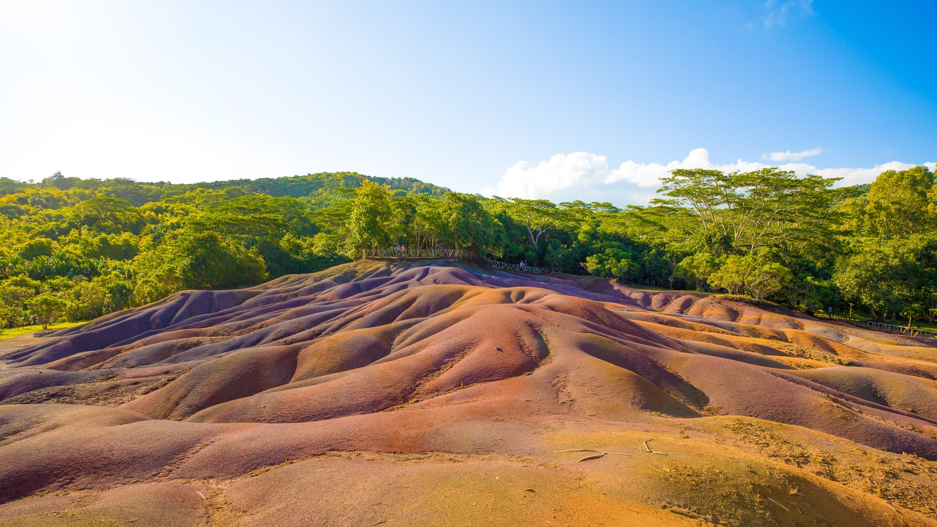 Guide to cycling the Black River Loop via Case Noyale + Chamarel