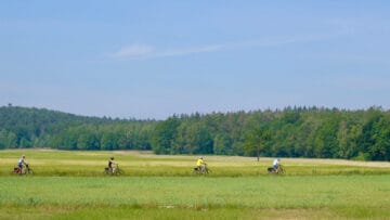 Cycling in the Netherlands: regions, routes + GPS