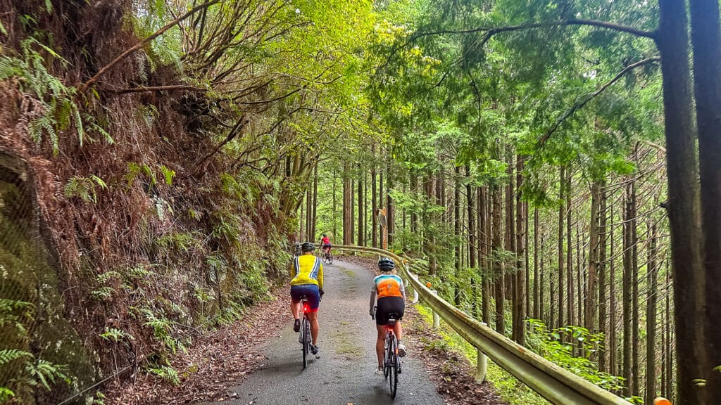 Japan cycling tours: top tips for the best Japan cycling holidays