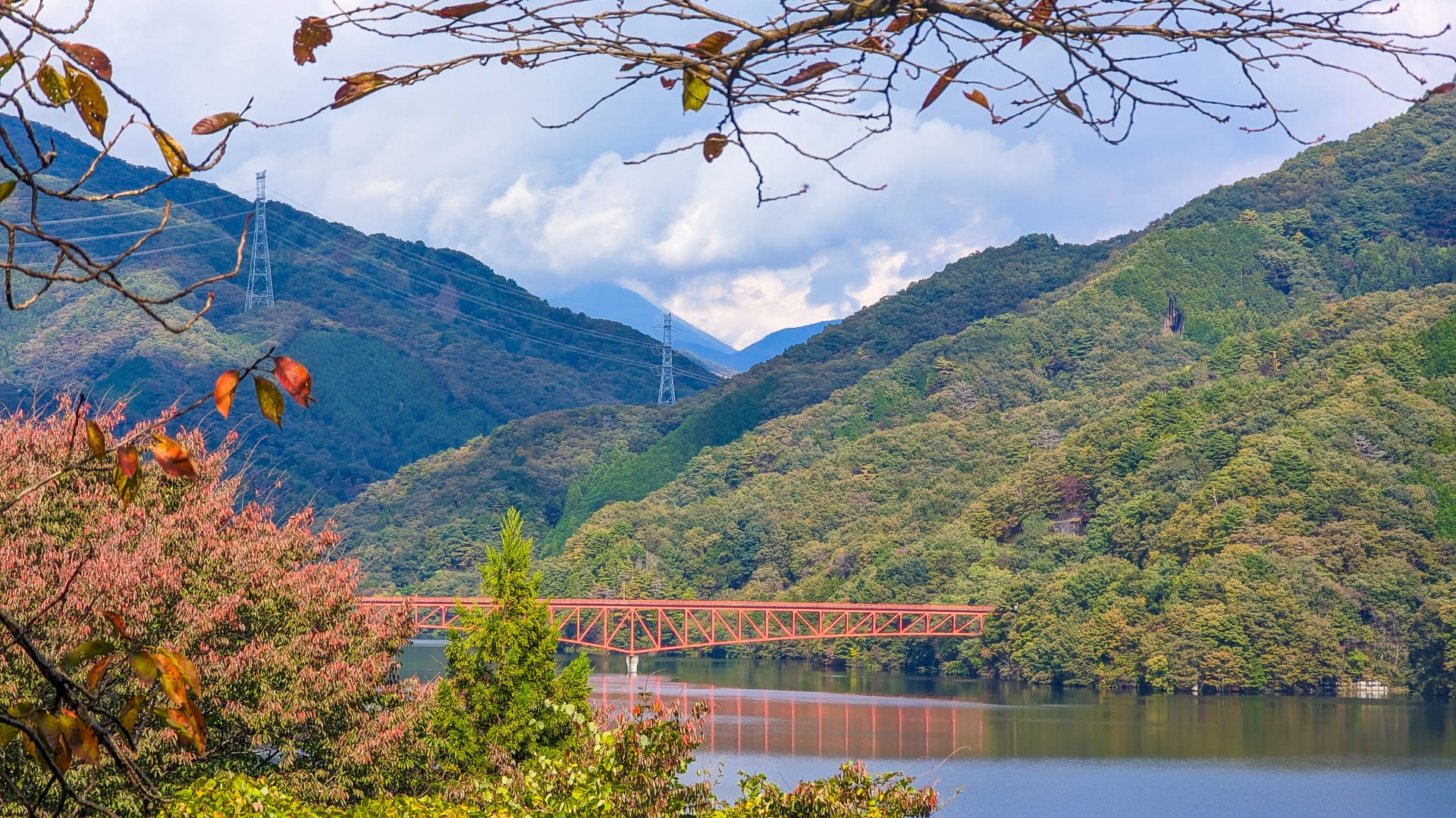 A guide to self guided cycling tours in Japan: Tips + where to go