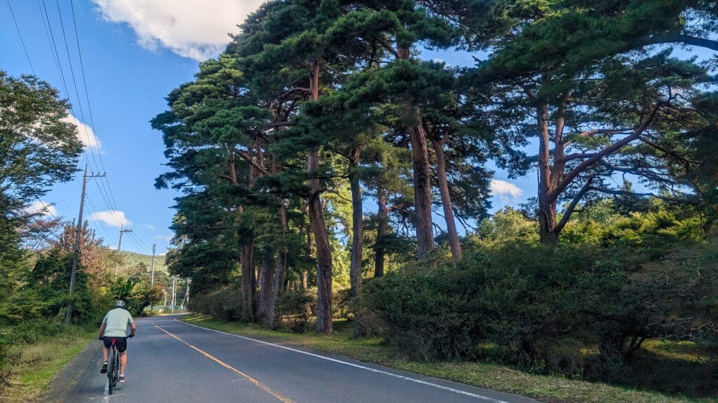 A guide to self guided cycling tours in Japan: Tips + where to go