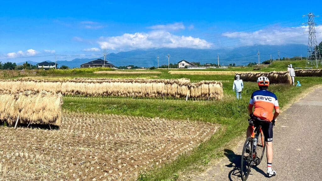 A guide to self guided cycling tours in Japan: Tips + where to go