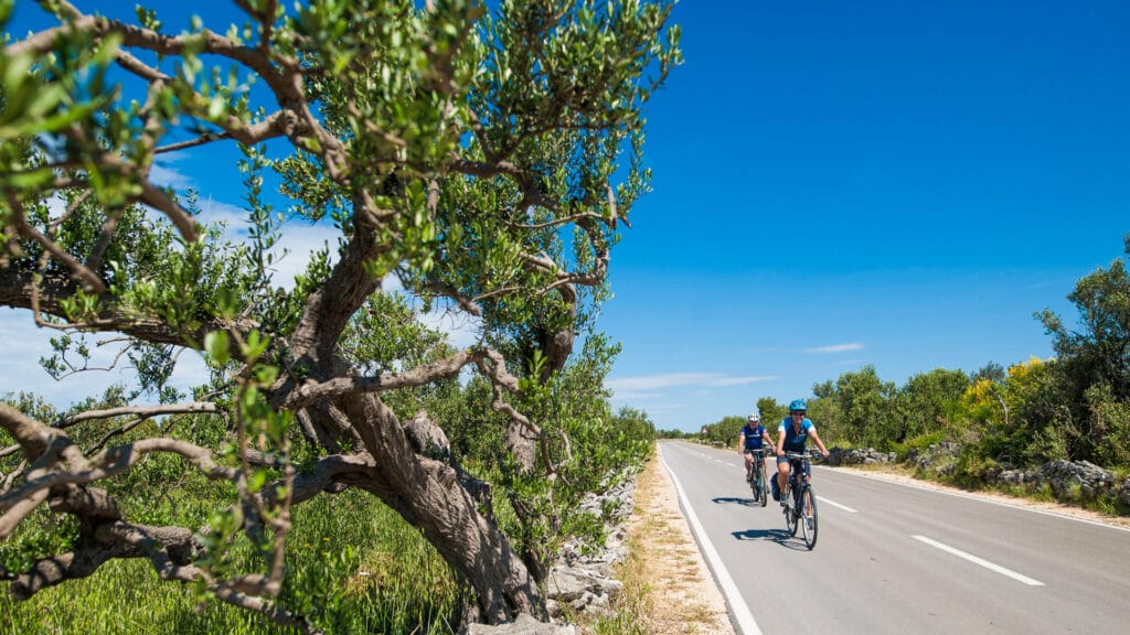 The must-do Croatia bike and boat tours: Best regions + tips