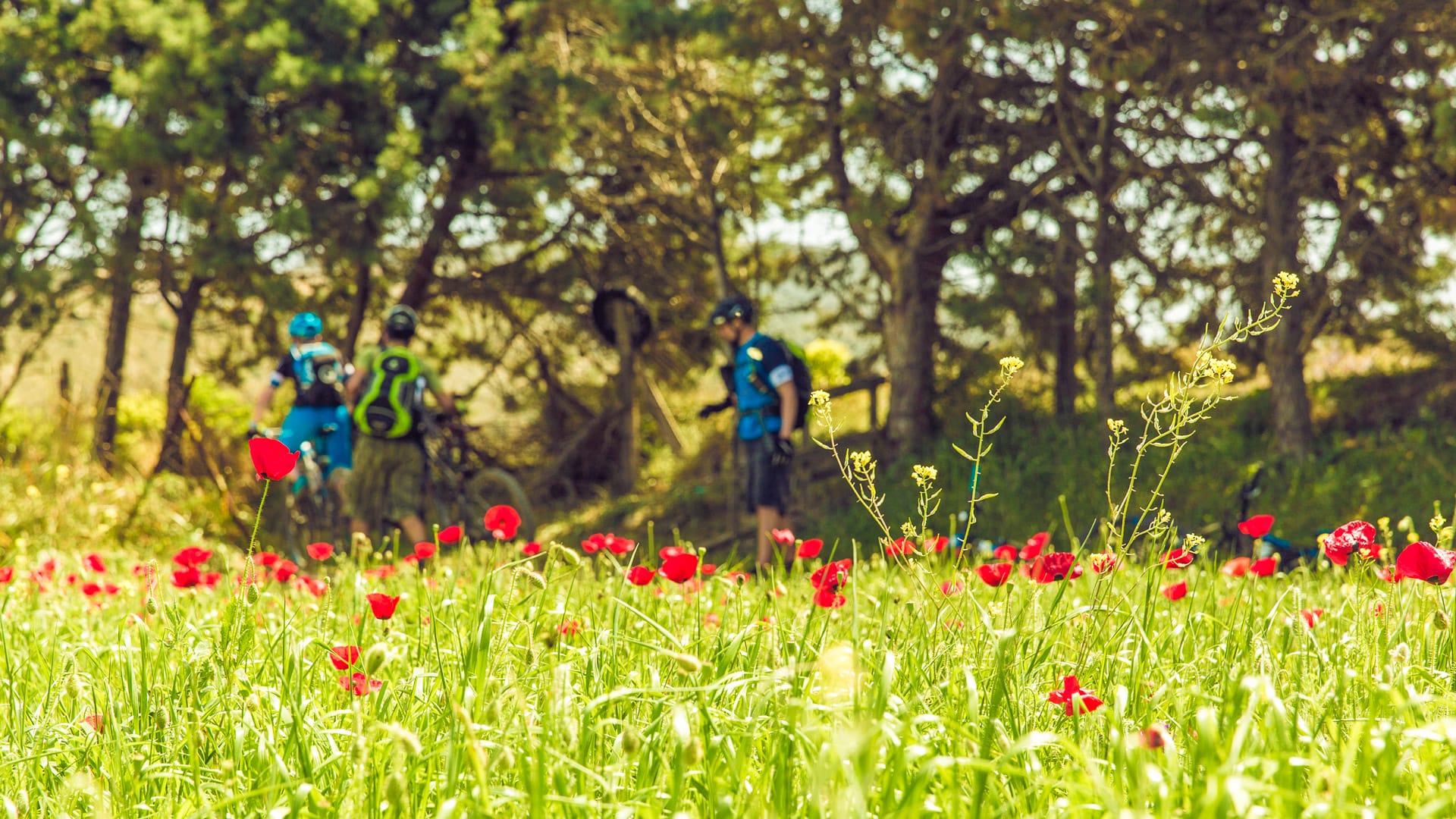 A guide to Turkey cycling tours: tips, routes + things to consider