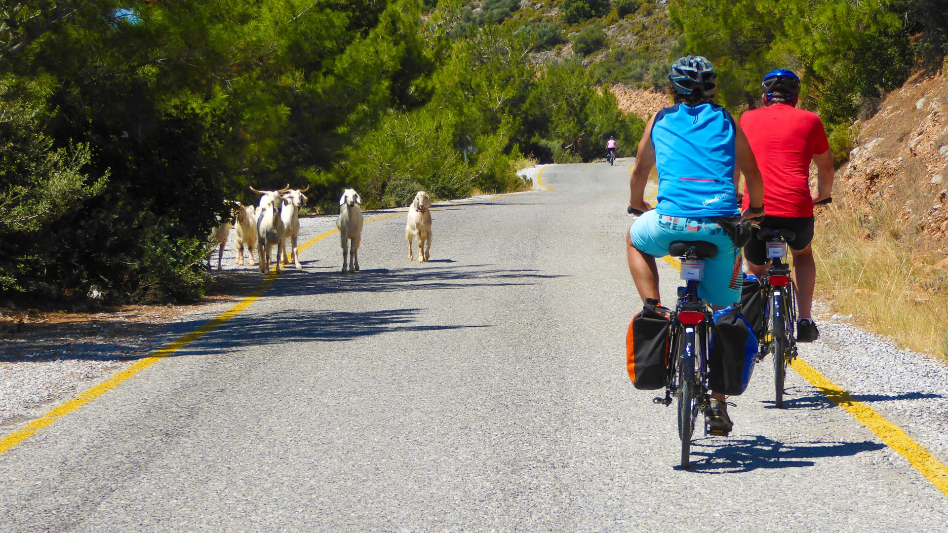 A guide to Turkey cycling tours: tips, routes + things to consider
