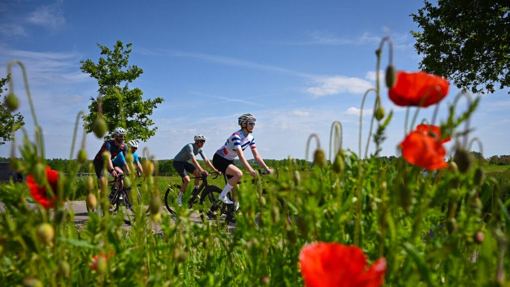 3 must-try Flanders cycling routes: Includes GPX + tips