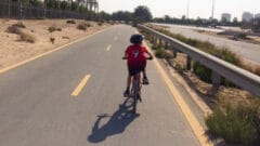 Cycling in Dubai - what you need to know before you go!