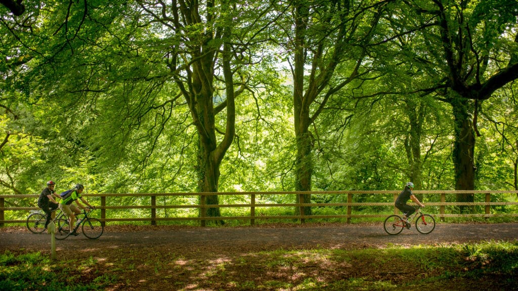Greenways in Ireland: The must-do cycling routes + tips