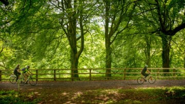Greenways in Ireland: The must-do cycling routes + tips